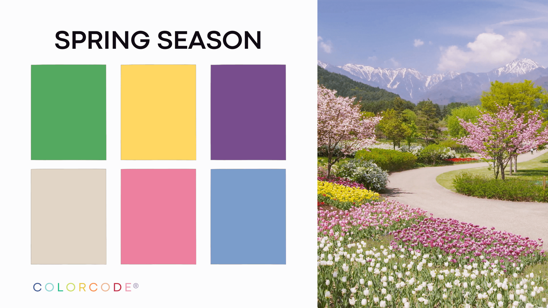 What Colors Should I Wear For My Seasonal Type: 4 Palettes - COLORCODE ...